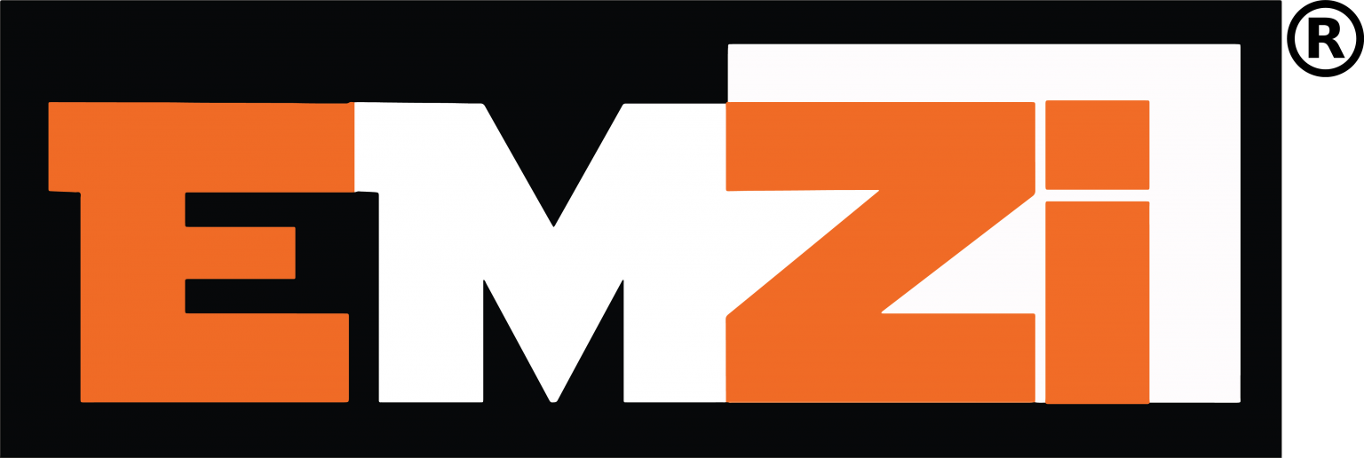 EMZI GROUP – EMZI GROUP