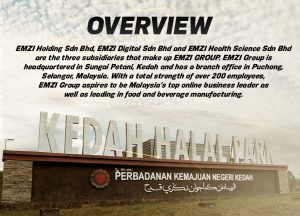 Overview – EMZI GROUP