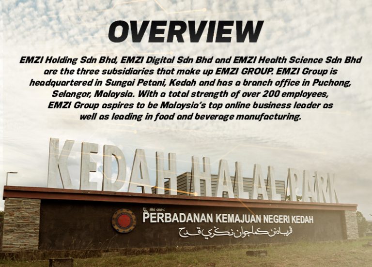 Overview – EMZI GROUP