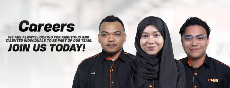 EMZI GROUP – EMZI GROUP