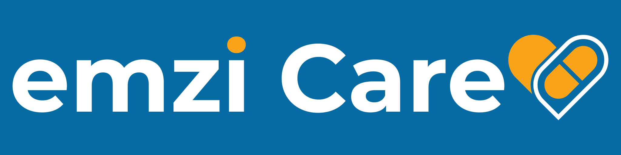 EMZI GROUP – EMZI GROUP